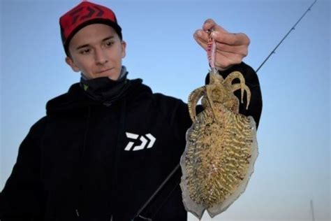 Fishing For Cuttlefish During The Day Adapting Your Technique To Your