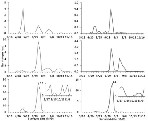 Seasonal Fluctuations In Male Pseudococcus Cryptus Caught On A Sex Download Scientific Diagram