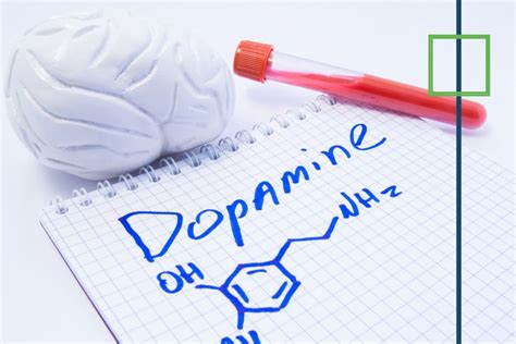 Dopamine High And Stimulant Addiction Whats The Connection
