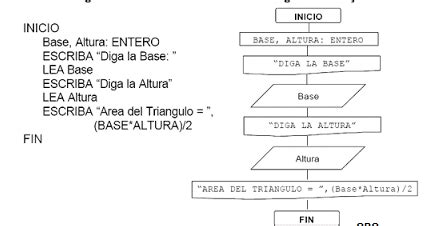 Fundamentos de programación Que es el pseudocódigo