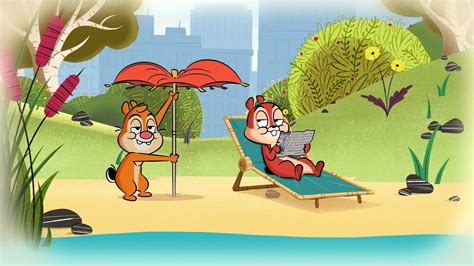 Chip N Dale Park Life S02e04 Bee My Queen Summary Season 2