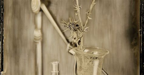 the photo palace making collodion from scratch