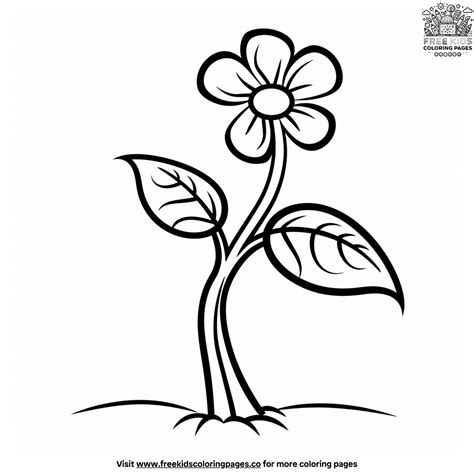 Plant Stem Coloring Coloring Pages