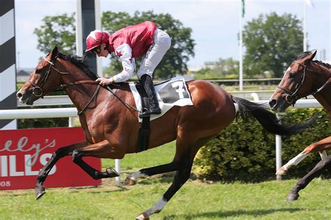 Jeudi à Angers Soigneux Bell Réussit Ses Débuts