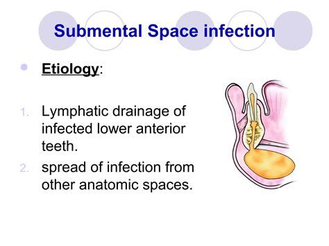Oral And Maxillofacial Spaces Of Infection Ppt