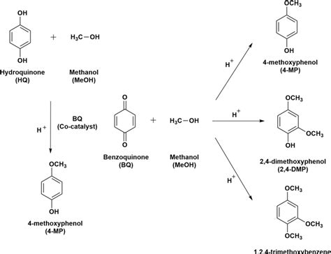 Reaction Scheme For O Methylation Of Hydroquinone With Methanol In The Download Scientific