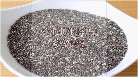 치아씨치아씨드 칼로리 영양성분 비타민 미네랄 아미노산 혈당지수gi지수