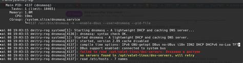 Lost Ability To Browse To Other Sites After Installation Issue Cpriego Valet Linux GitHub