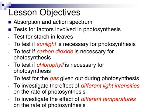 Ppt Nutrition In Plants Part 2 Fate Of Glucose In Leaves And Absorption And Action Spectrum
