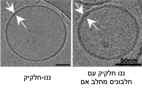 חוקרים פרטיים כשהפכתי לאבא נולד גם רעיון