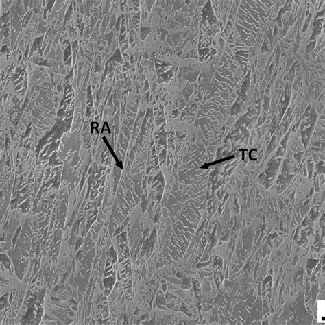 Sem Microstructure Of Qt A And Sat B Samples With Marked Transition