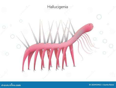 Hallucigenia Stock Vector Illustration Of Fossil Drawing 283993903