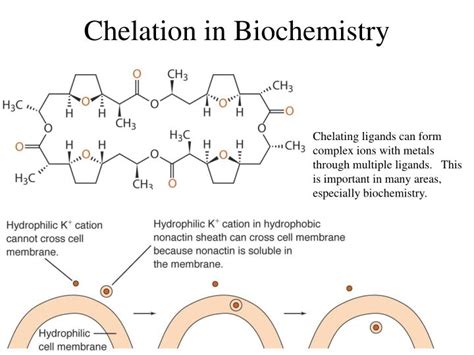 Ppt Edta Titrations Powerpoint Presentation Id234018