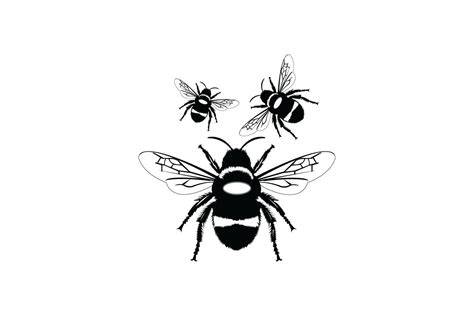 Vector Engraving Illustration Of Bee Graphic By Piximcreator · Creative