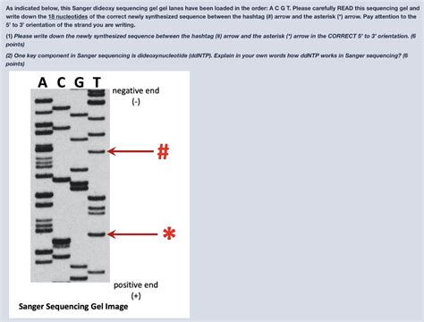 Solved As Indicated Below This Sanger Dideoxy Sequencing