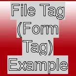 File Tag Form Tag Example