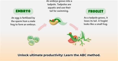 Master The Abc Method Of Time Management Boost Productivity Now