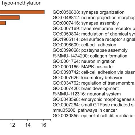 Metascape Pathway Analysis Of Differentially Methylated Regions Dmrs