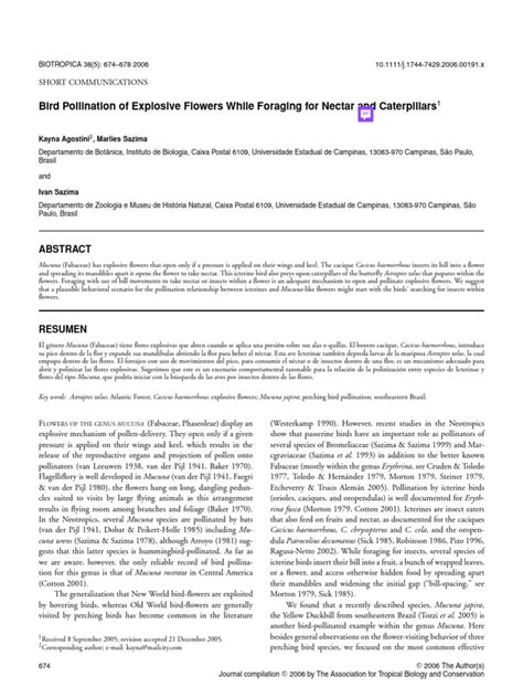 Agostini 2006bird Pollination Of Explosive Flowers While Foraging For