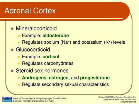 Chapter 11 Endocrine System Ppt Download