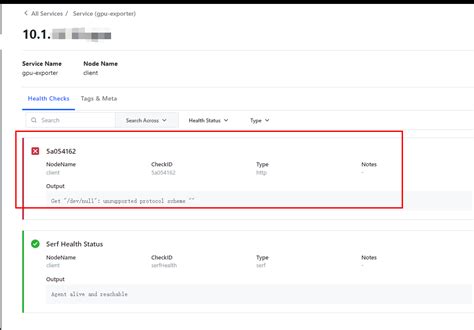 Consul Node Show Health Check Failing With `unsupported Protocol Scheme