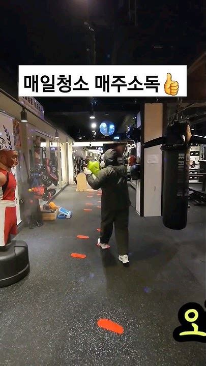 복싱체육관 매일청소하고 매주소독하는 관장이 있다 없다 청담동 복싱 복싱멘토스쿨 Youtube