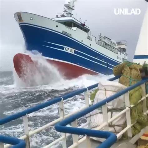 Nicholas Cassimatis On Linkedin Some Really Beautiful Moments After The First Few Terrifying