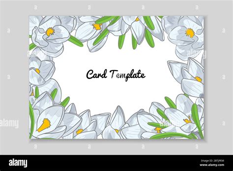 Rectangular Card Frame With White Hand Drawn Crocus Flower Arrangement