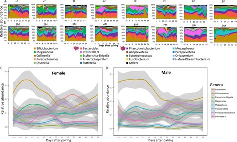 Sex Bias In Gut Microbiome Transmission In Newly Paired Marmosets