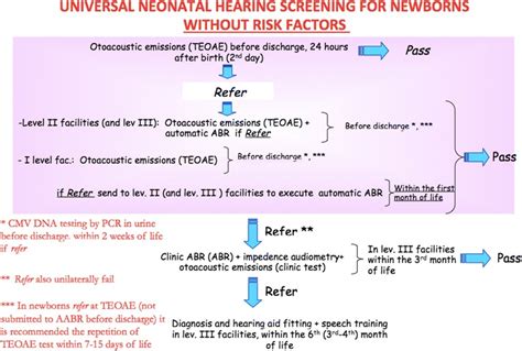Newborn Hearing Screening Protocol In Tuscany Region Abstract Europe Pmc