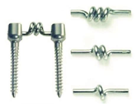 Posterior Dynamic Stabilization Systems A Dynesys B Graf System