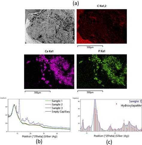 A Sem Eds Of A Cross Section Of Sample 3 With Relevant Eds Mapping Download Scientific