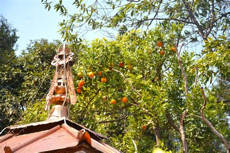 Ananta Lingeshwar Mahadev Temple Ktm Guide