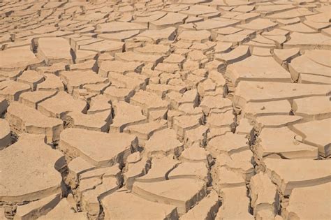 Premium Photo Global Warming Died And Cracked Soil In Arid Season
