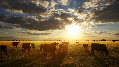 Clima En Colombia Será Variable Se Esperan Lluvias En Unas Zonas Y Sol En Otras En Los Próximos