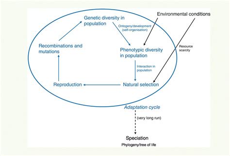 Population Genetics Basic Concepts Pdf