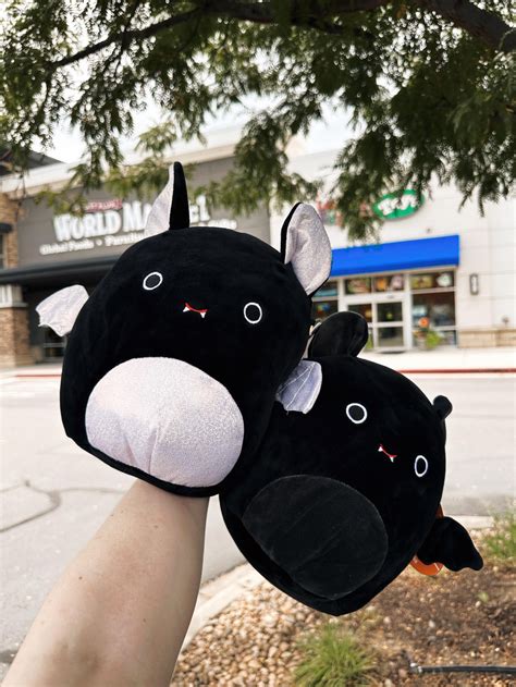 🦇sister Said Go For All Back Partner Said Silver — So I Got Both R Squishmallow