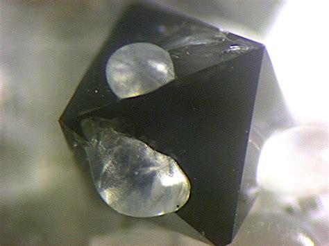 E Rocks Mineral Auctions