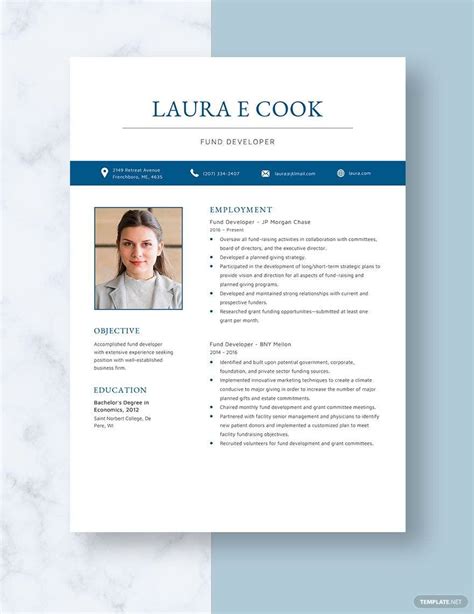 Software Developer Resume In Word Download