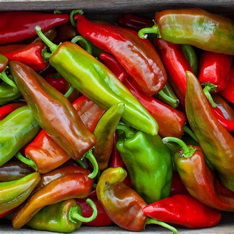 Anaheim Pepper A Mild And Versatile California Chili Hot Sauce Times