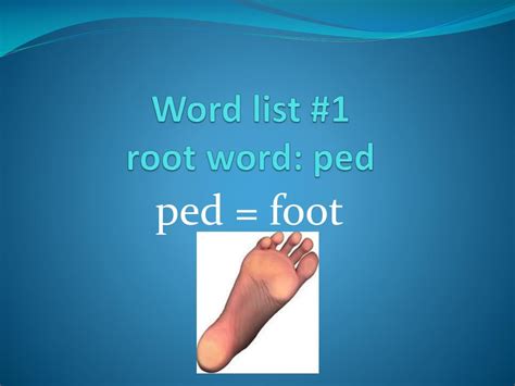 Ppt Word List 1 Root Word Ped Powerpoint Presentation Free Download Id 6668130