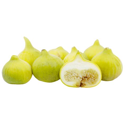 Fig Tree Deanna Ficus Carica