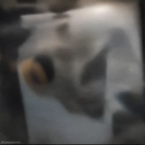 Exploring The Zygo Profilometer For Precision Measurement