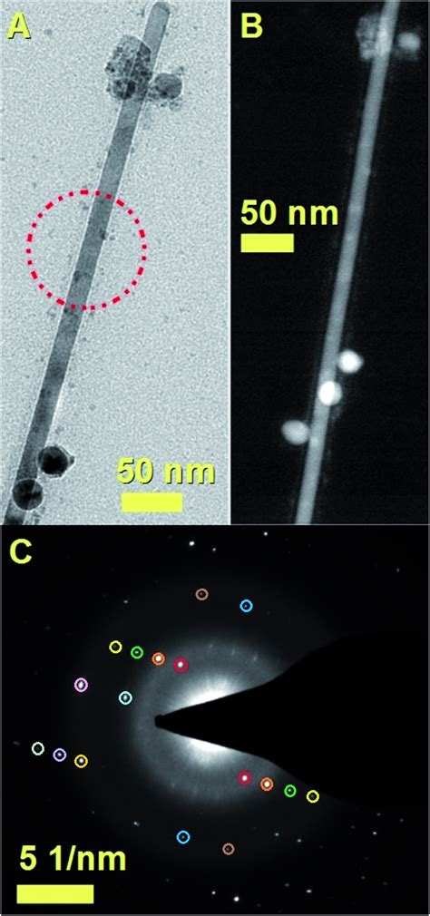 Transmission Electron And Stem Micrographs In A And B Showing A