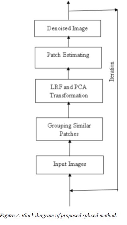 Robust Denoising Technique For Ultrasoun Biomedical Research