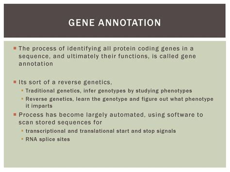 Genomes And Their Evolution Ppt Download