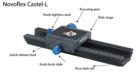 Choosing The Best Focusing Rail For Macro Photography