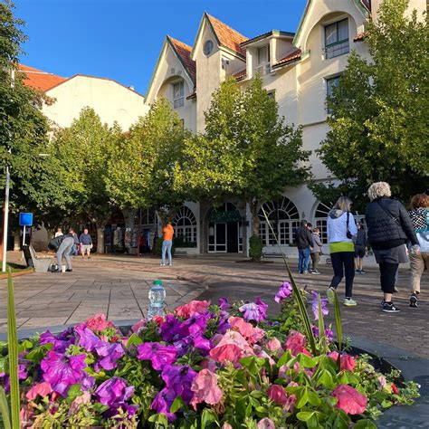 Ifrane National Park Ифране лучшие советы перед посещением Tripadvisor