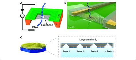 2d Nanopores For Dna Sequencing A Dna Translocating Through A Download Scientific Diagram