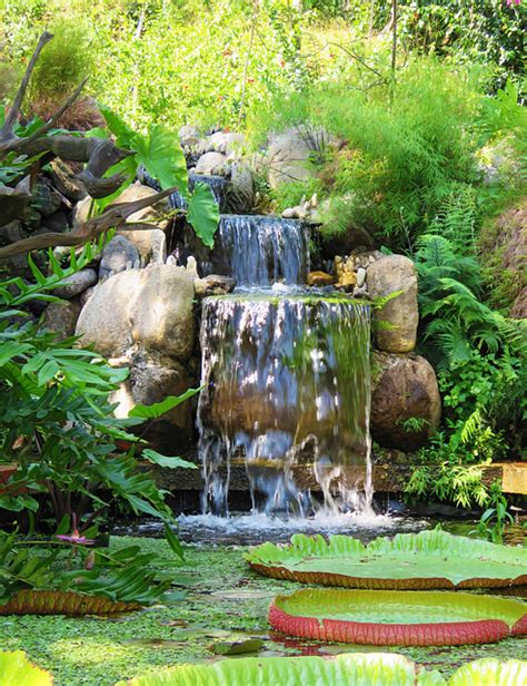 Wasserfall Teich Natur Kostenloses Bild Auf Pixabay Pixabay